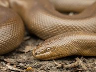 Telegraf.rs - Najnovije vesti