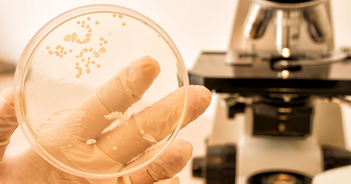 Revolucionarna studija Astrobiološkog instituta NASA povučena posle 15 ...