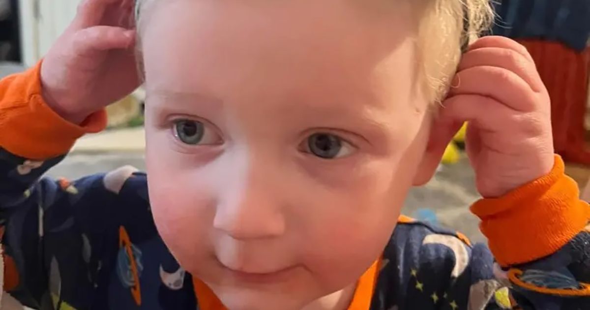 Pit bulovi brutalno napali dečaka (3) i njegovu majku usred parka: Dete ...