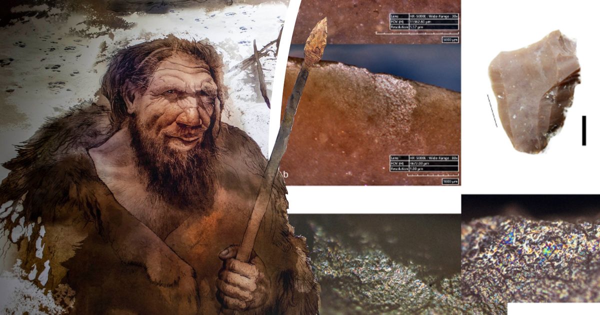 Naučnici se „vratili u prošlost“: Neverovatnim eksperimentom otkrivaju tajne neandertalaca ...