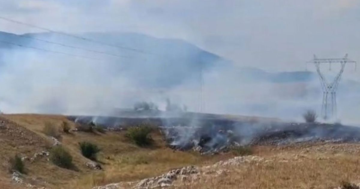 Kusturić: Požar kod Gacka stavljen pod kontrolu - Vesti - Telegraf.rs