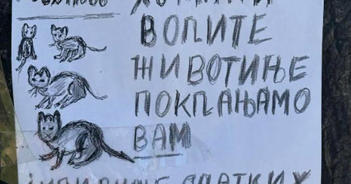 Baka Mara oduševila Piroćance originalnim oglasom: Ovako se piše srcem ...
