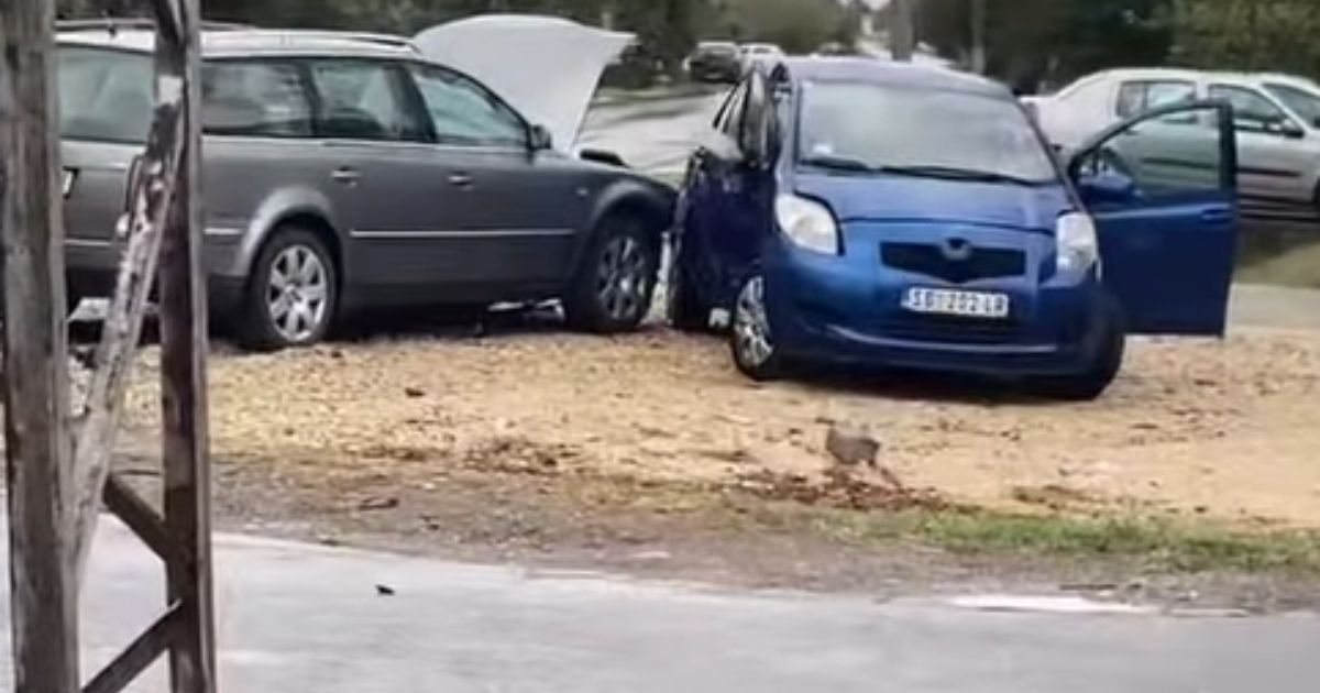 Saobraćajna nezgoda kod Odžaka: Sudarila se dva automobila, uviđaj u toku - Vesti - Telegraf.rs