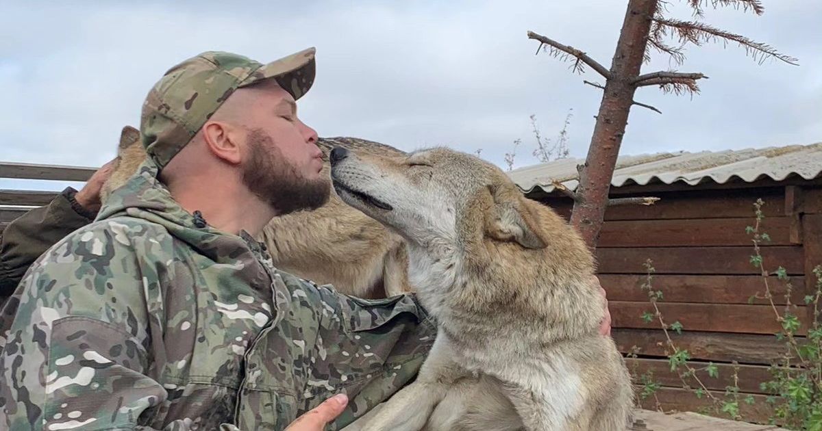 Putin u rat šalje ove divlje zveri: Neobičan potez Rusa, mogu da upozore vojnike na opasnost ...