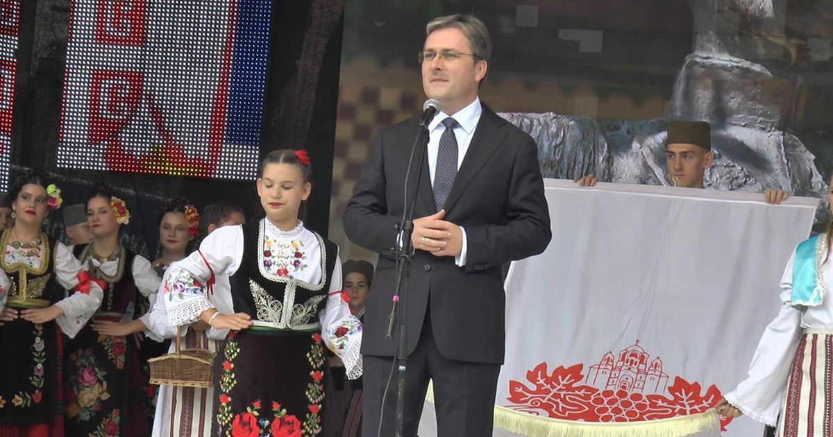 Cena grožđa od 200 do 600 dinara, litar vina 300: U srpskoj Toskani na ...