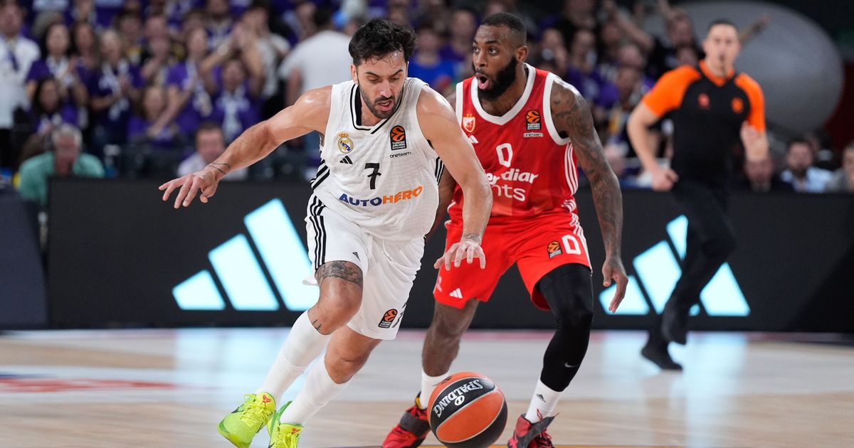 Real Madrid - Zvezda: Evroliga, 5. kolo, prenos - Telegraf.rs