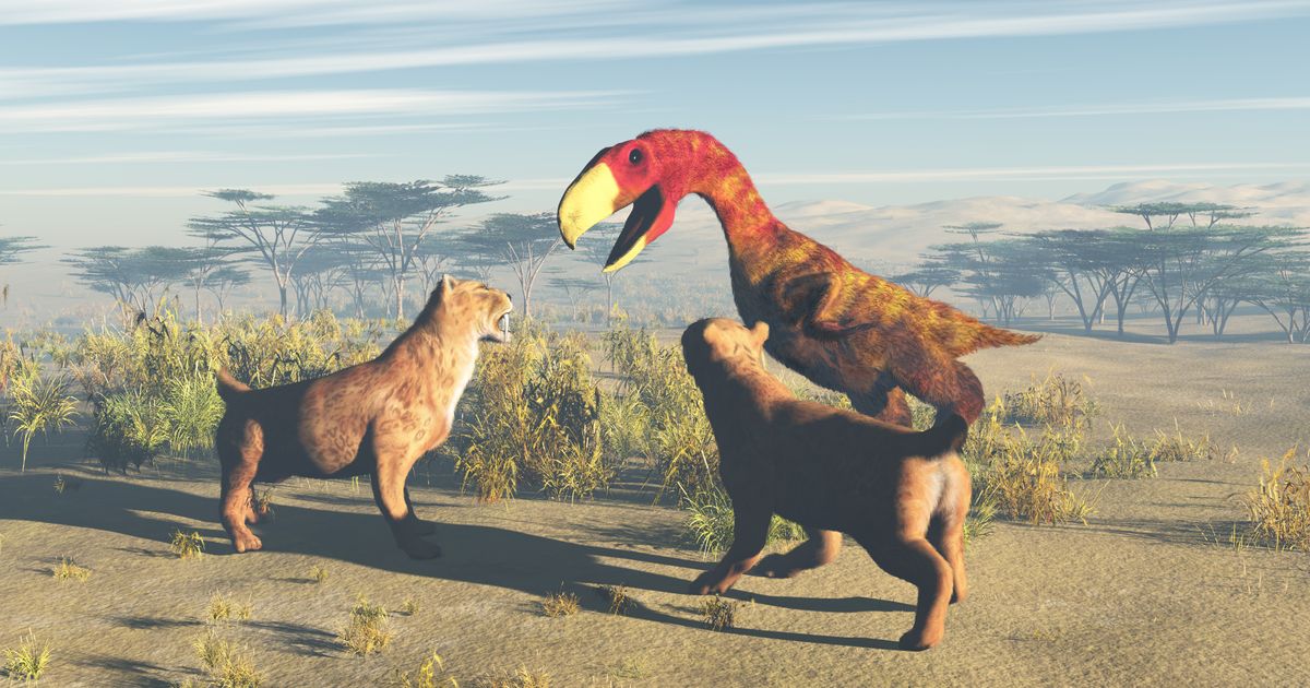 Džinovska ptica ubica imala je 156 kg i jela je sve što se kreće ...