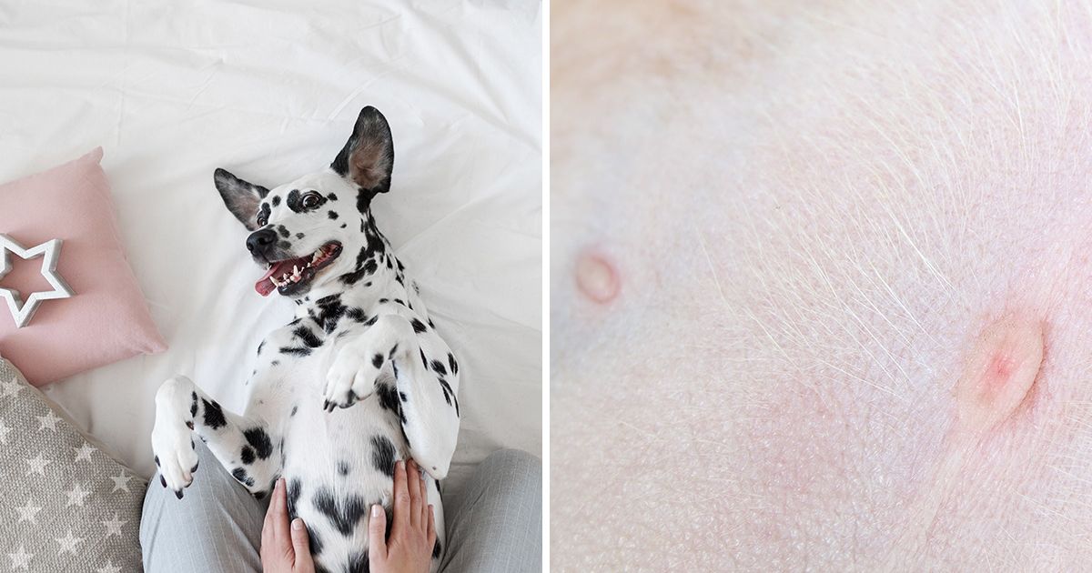 O ovome verovatno nikad niste razmišljali: Da li znate gde se tačno na ...