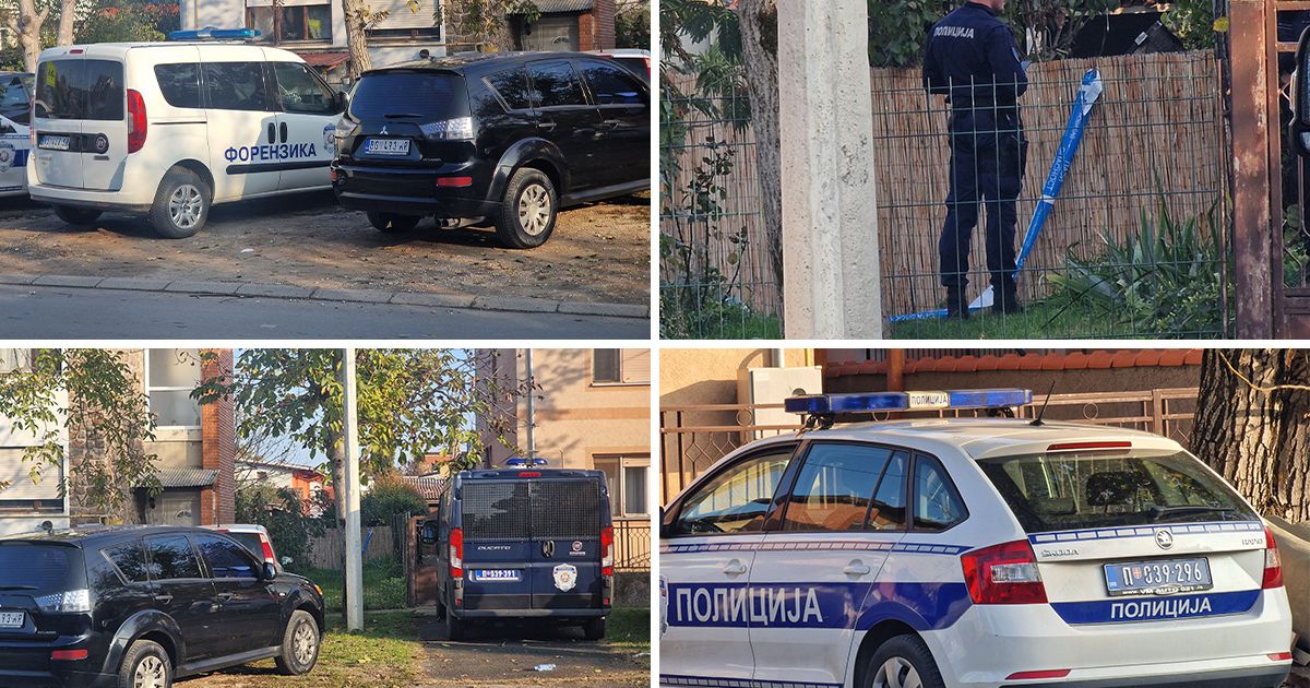 Oglasio se MUP o jezivom ubistvu u Novom Sadu - Vesti - Telegraf.rs