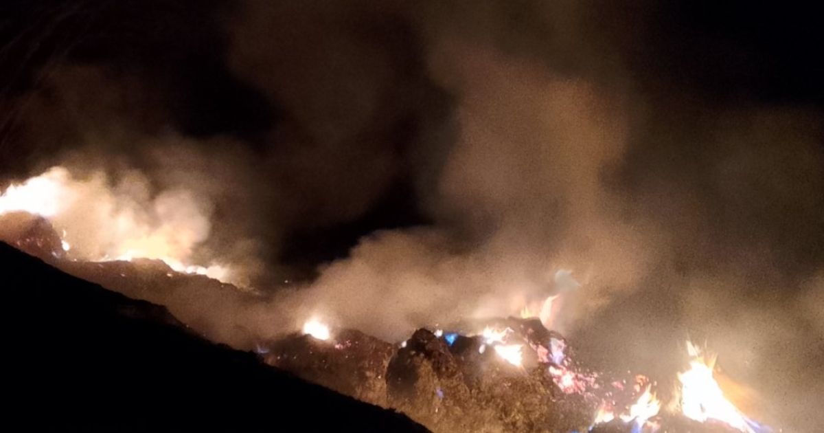 Vatrena stihija na Staroj planini ugrozila opstanak velikog stada ovaca ...