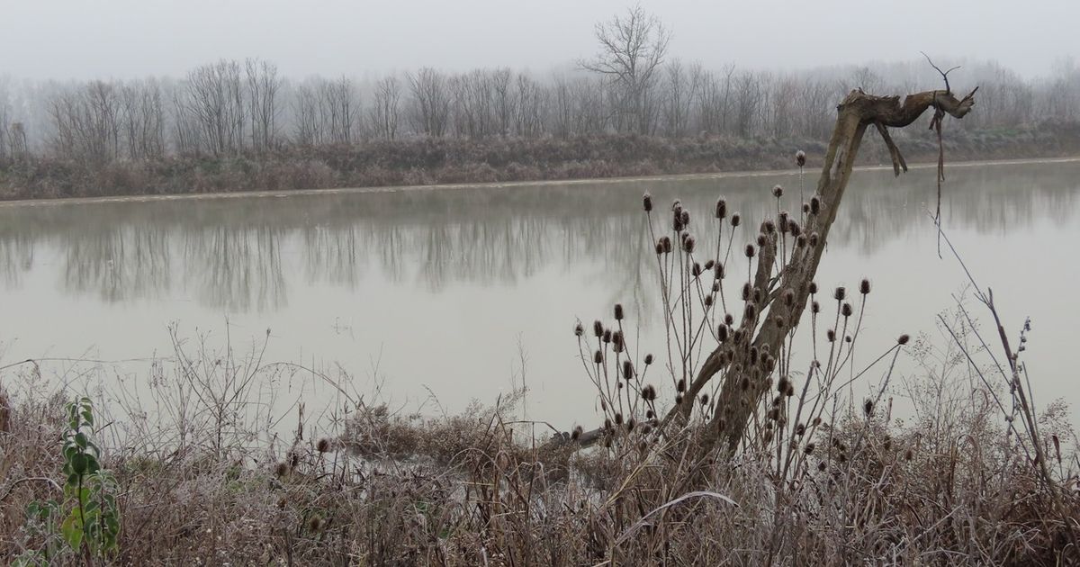 Tamnava poplavila oranice kod Koceljeve, u Mačvi strahuju od rasta ...