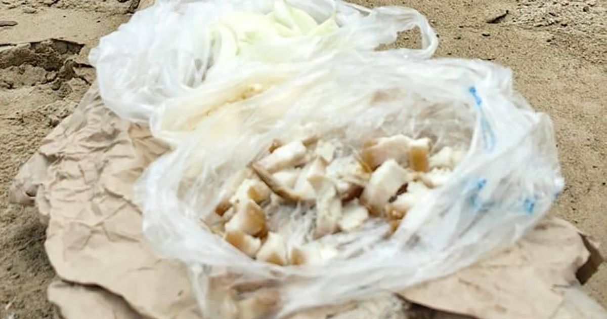 Balkanac i na Filipine ne ide bez slanine i luka: Fotografije sa plaže ...