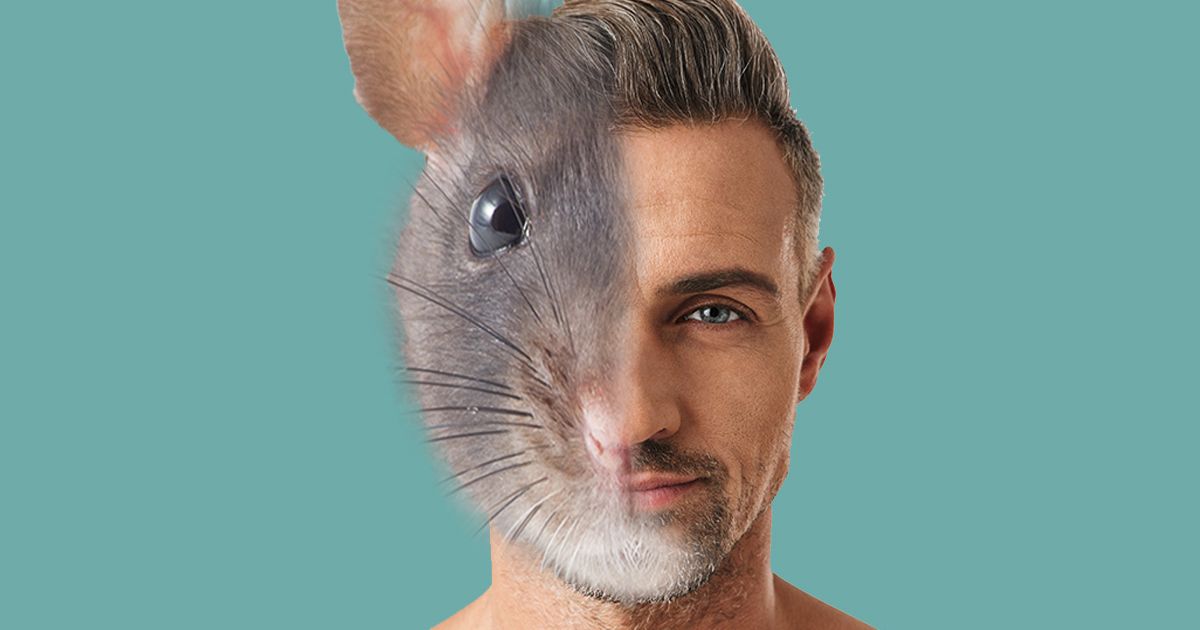 Svetski dan pacova 4. april - Ljubimci Telegraf