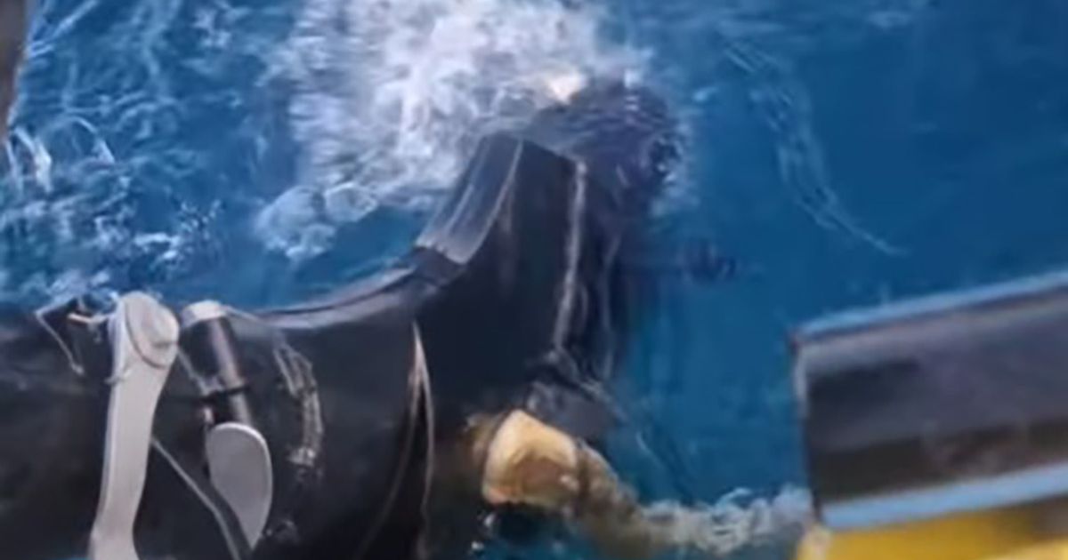 Ribolovac Rade u neverici gledao motor na brodu: "Mislio sam da se krpa ...