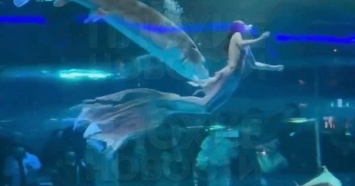 Ajkula napala devojku u kostimu sirene - Telegraf.rs