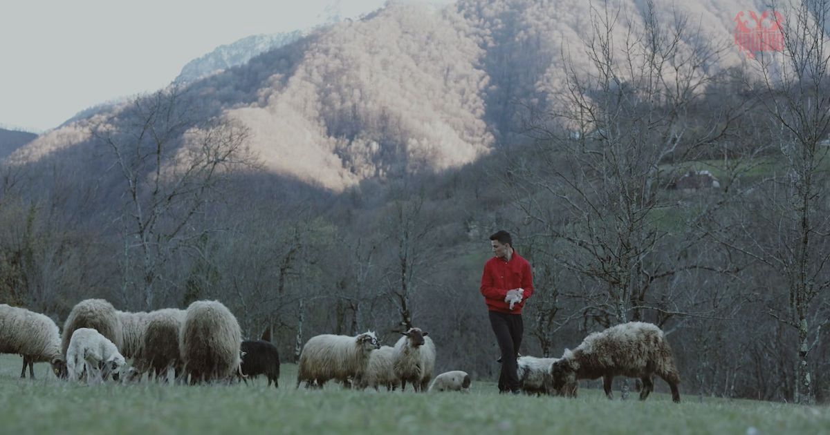 Milan (14) ustaje u 6 da namiri stoku, posle ide u školu: Dečak heroj održava imanje jer su ...