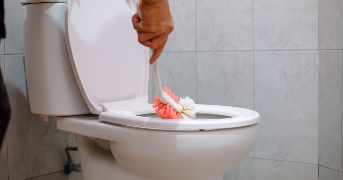 Svi misle da je WC šolja čista, a prave ove dve greške svaki dan: Džaba ...