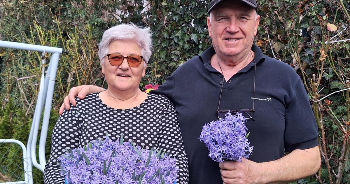 Dimitrijevići iz Taskovića oko kuće imaju blago: Nasledili u carstvo ...