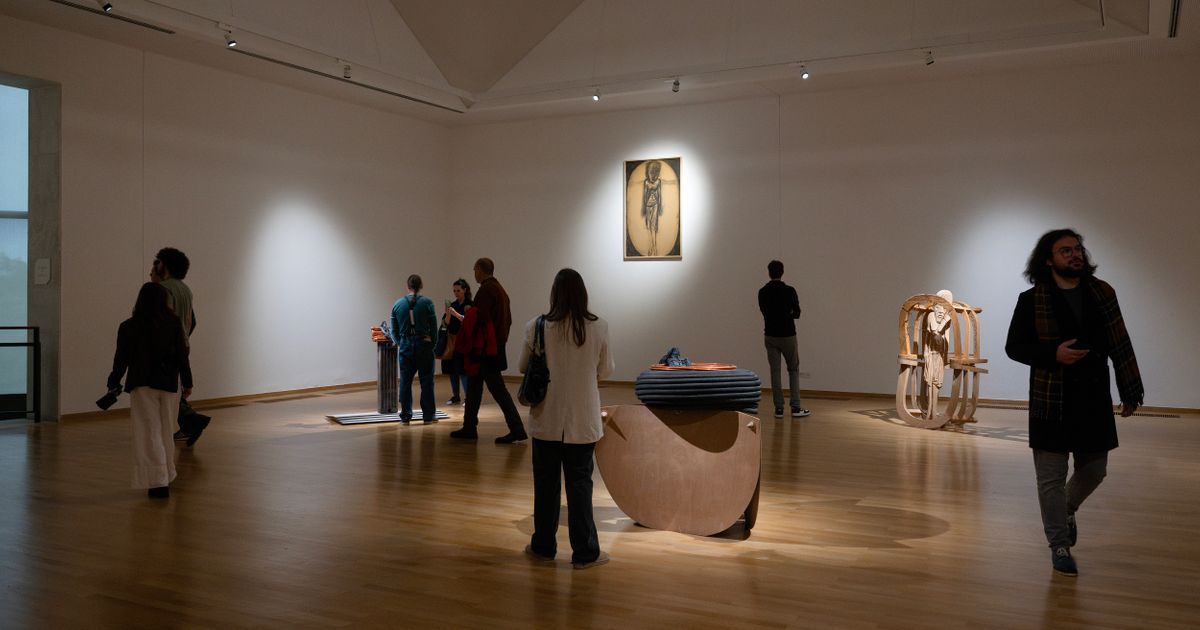 Otvorena izložba „Svetlucavo prijateljstvo“ Zdravka Joksimovića u Muzeju savremene umetnosti ...