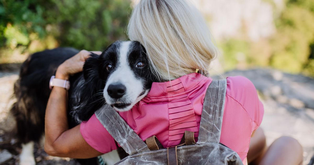 Izbor rase psa prema horoskopskom znaju vlasnika - Ljubimci Telegraf