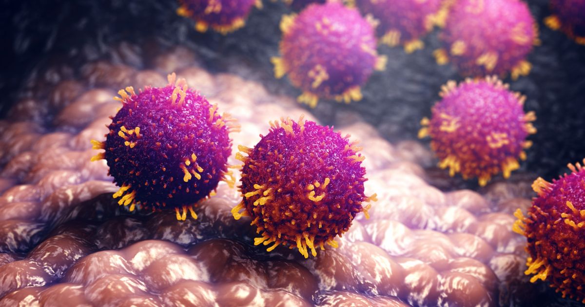 Slepi miševi su ključ prenosa morbillivirusa - Nauka Telegraf