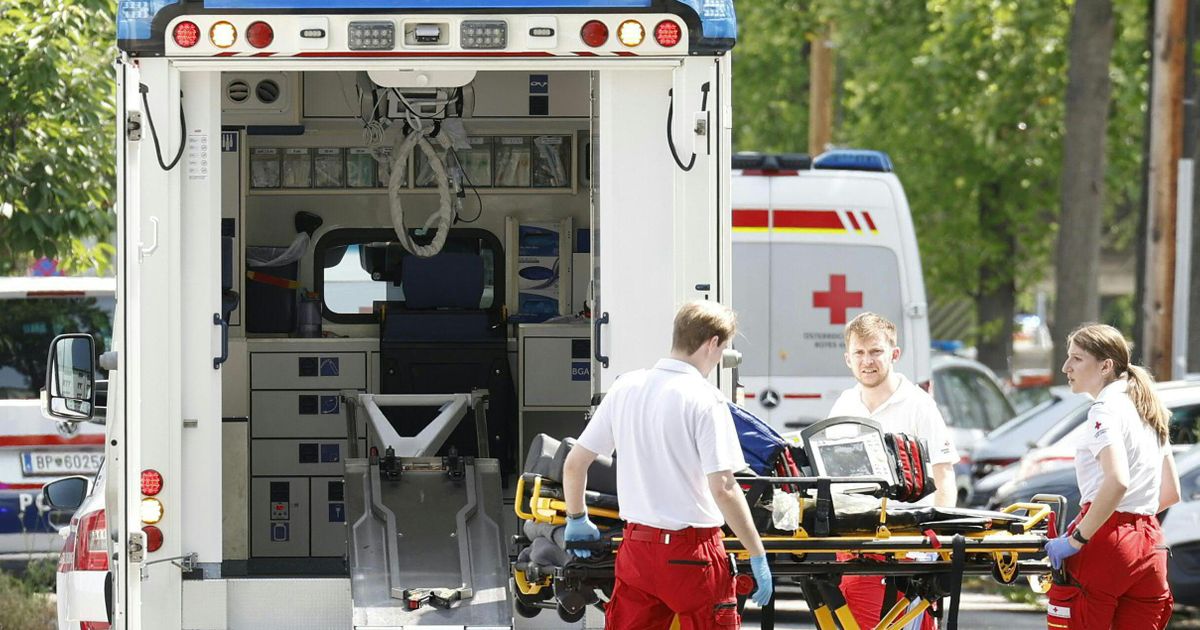 Bivši učenik pobio decu u školi u Austriji, sebi presudio kada su došle Kobre? Cure jezivi ...