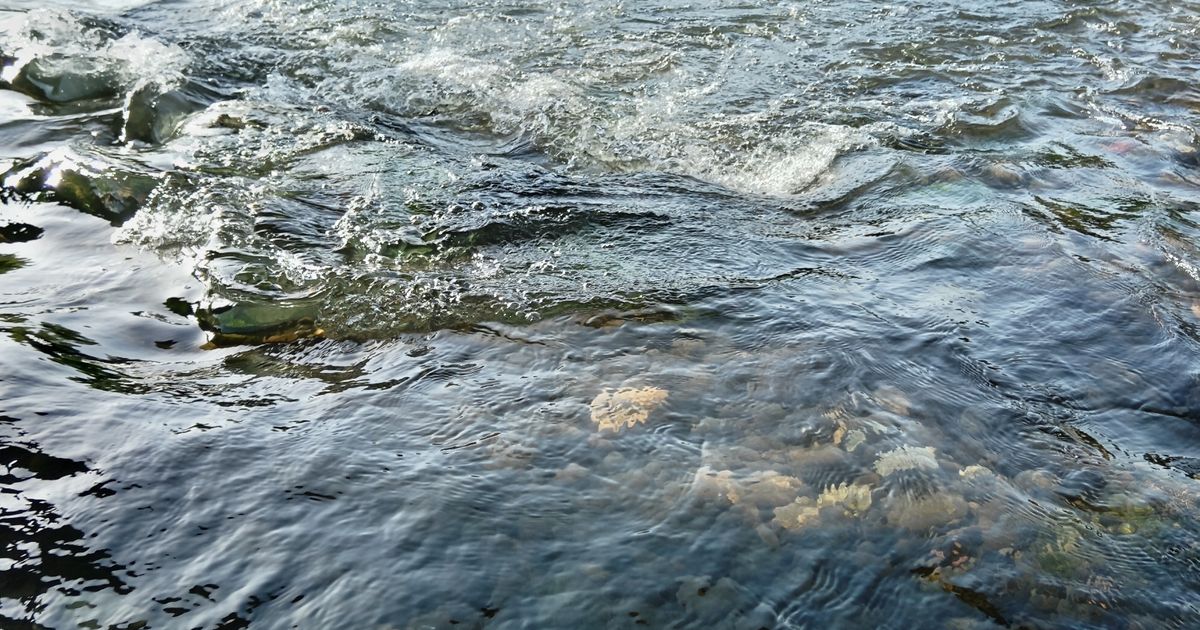 Najveća je reka u tom delu Srbije: Zlatonosna reka, koja protiče i kroz ...