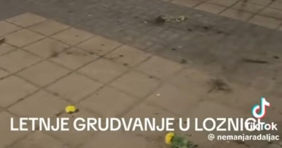 "Letnje grudvanje u Loznici": Poražavajući snimak dece u centru grada ...