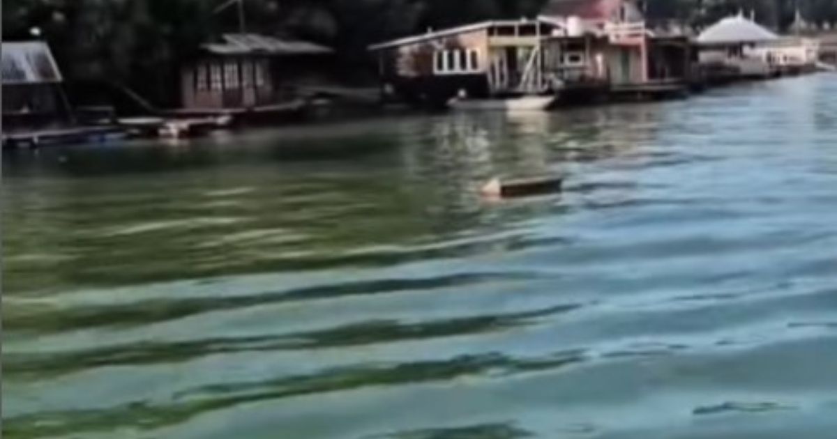Horror on Sava RIver! What is THAT floating? Incredible video, people ...
