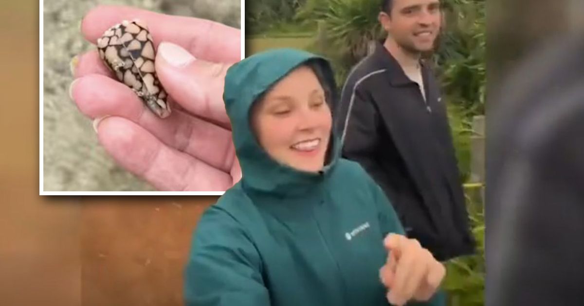 Devojka pronašla morskog puža, pa ga snimila kamerom: Bukvalno je mogao ...
