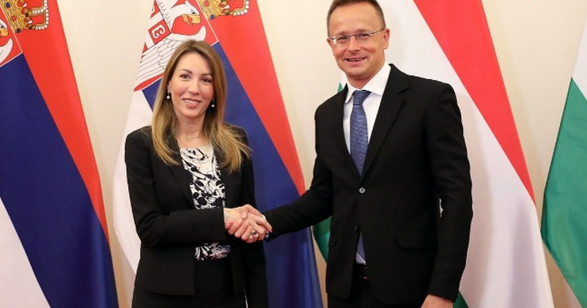 Mađarska stala uz Srbiju: Podržali produženje licence za NIS, Đedović ...