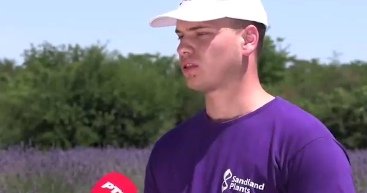 Stefan (23) iz Beograda započeo posao iz snova u Deliblatu: Dolaze ljudi čak iz Švajcarske ...