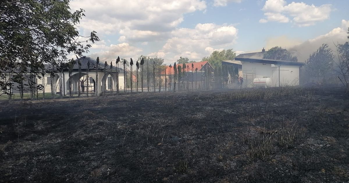 Detalji vatrene stihije kod Aleksinca: Evo kako je nastao požar u kom ...