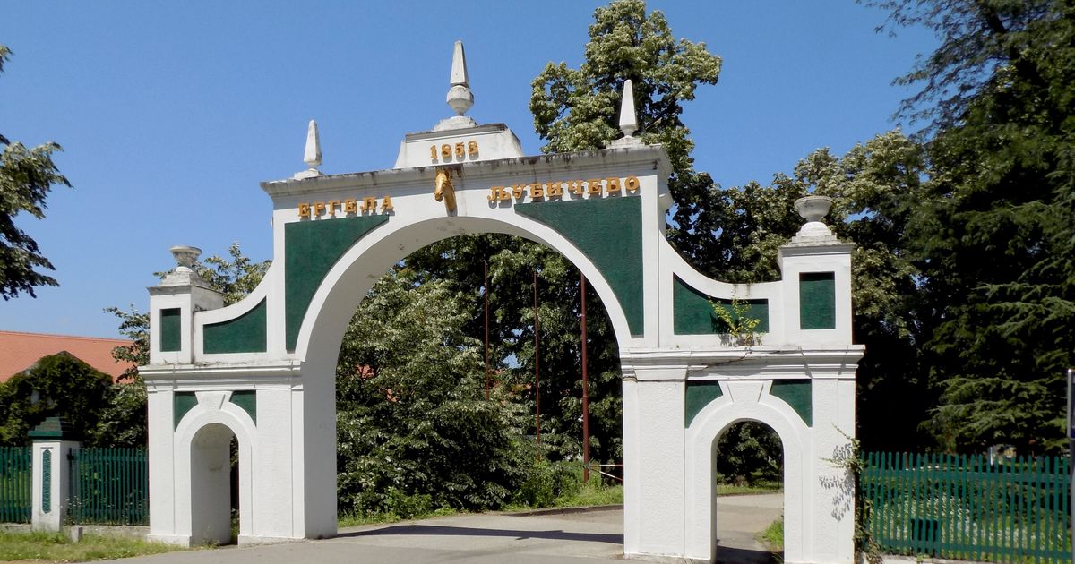 Za njen nastanak zaslužan je otac, a za naziv sin: Ergela u Srbiji koja nosi naziv po jednoj ...