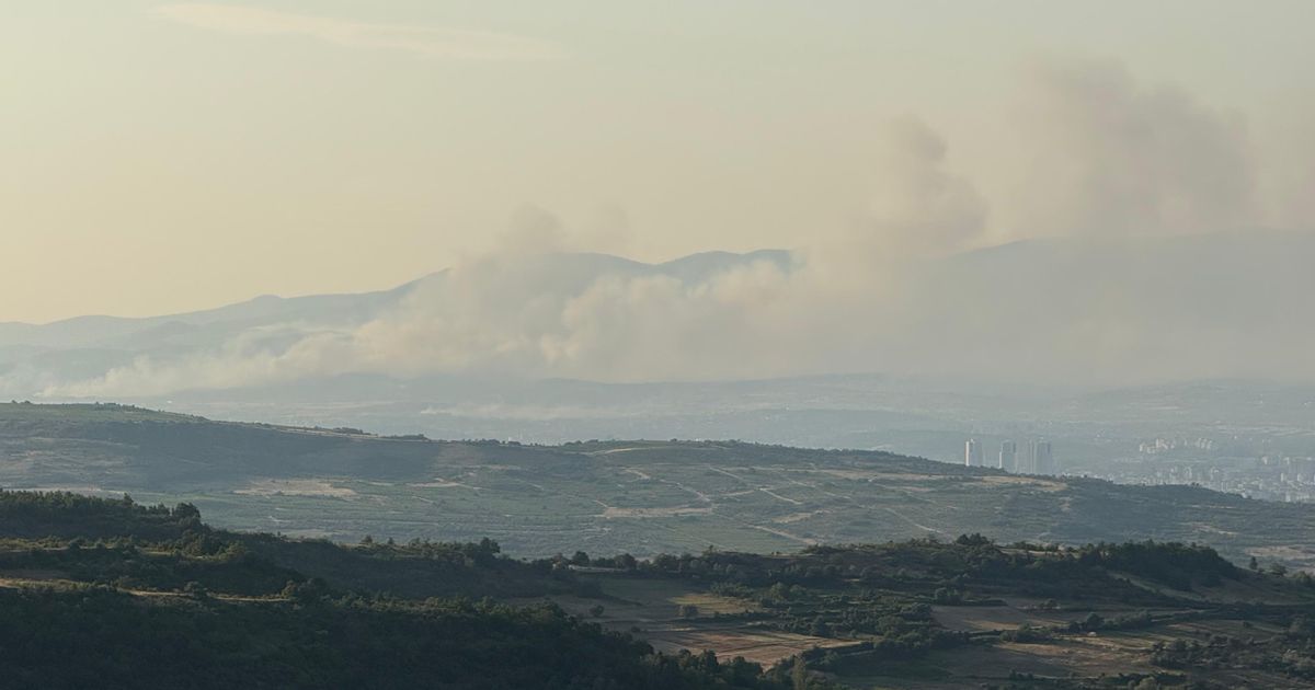 Stravičan požar kod Niša: Sivi dim kulja u nebo, vatra guta sve pred sobom - Vesti - Telegraf.rs