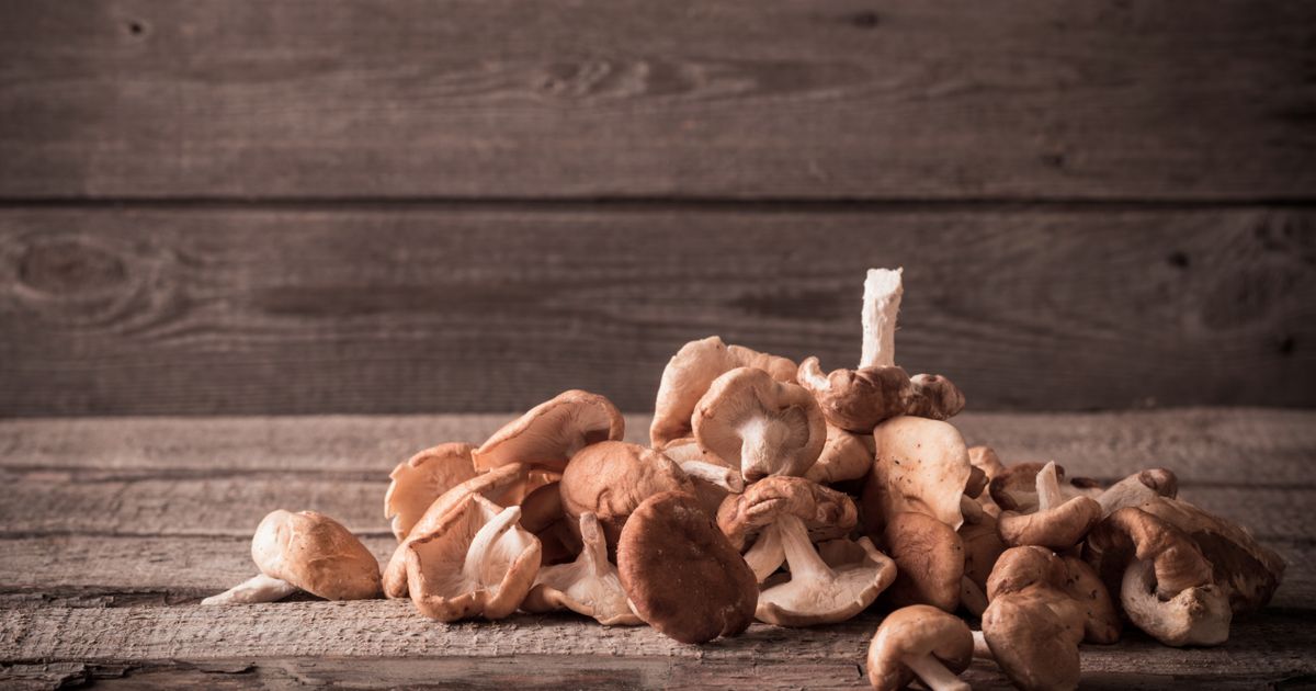 Zašto šitake pečurke važe za tajno oružje biljne kuhinje i kako da ih ...