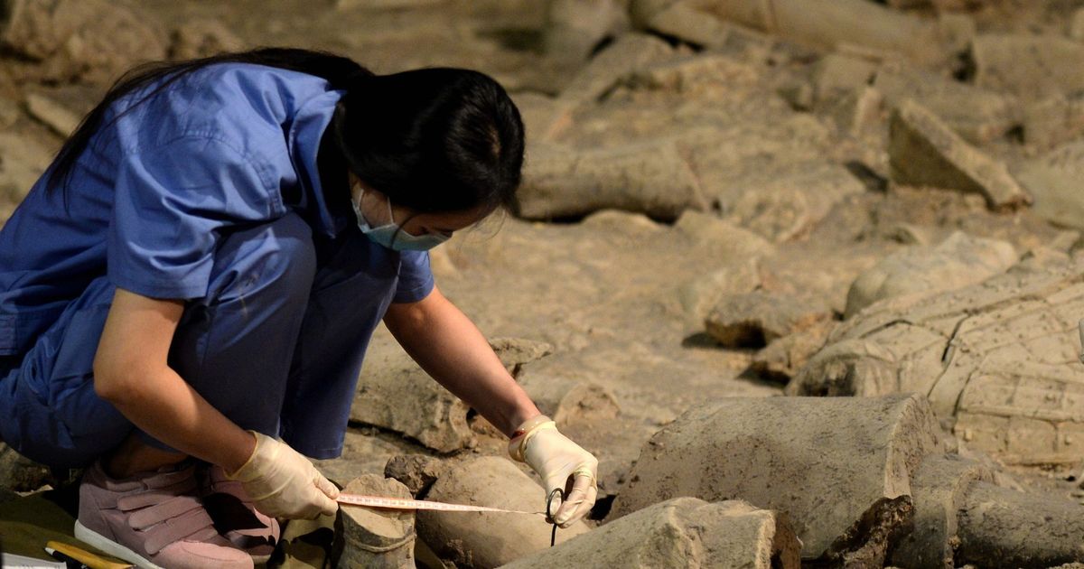 Grobnica pronađena u Sijanu: U njoj bio sahranjen princ talac, sve ...