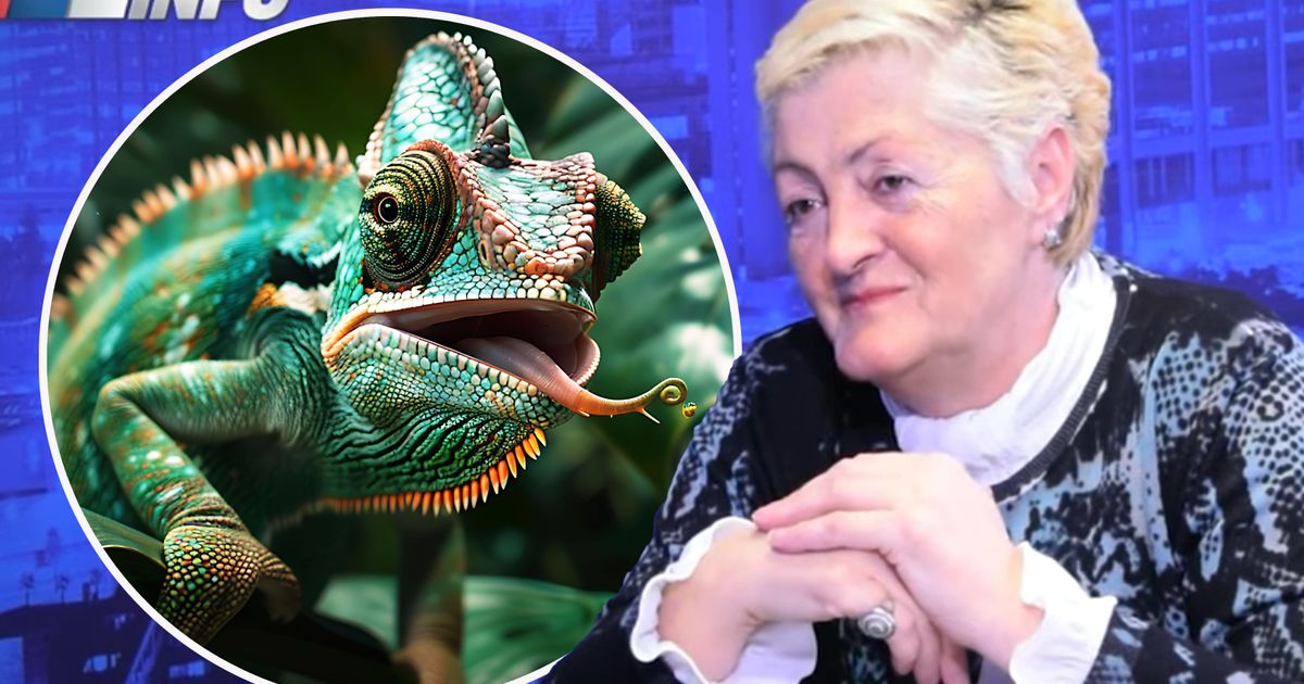 "Paparaco": Jovaka Jolić uhvaćena na stanici, ljudi se pitaju šta će se ...