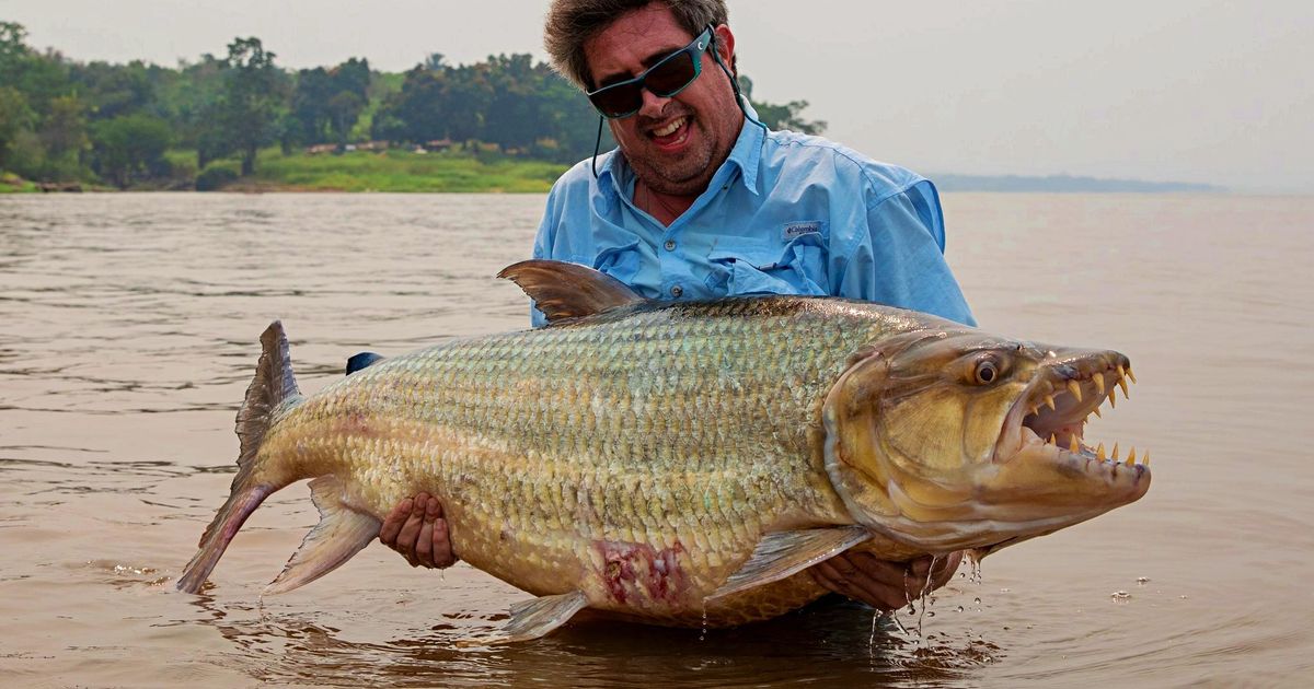 Ribar ostao zapanjen onim što je izvukao iz reke: Ovaj monstrum napada ...