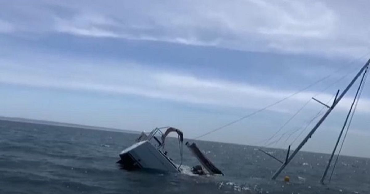 Kitovi ubice potopili jedrilicu: Napad je trajao pet minuta, putnici sa ...