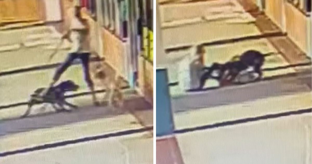 Baka spasila psa od napada pit bula, jednim potezom sve šokirala: "Imam ...