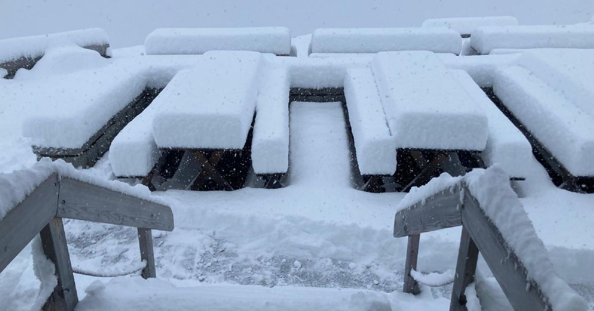 SNEG pravi HAOS po Evropi: U Švajcarskoj, Italiji, Francuskoj kolaps u saobraćaju, ogromna ...