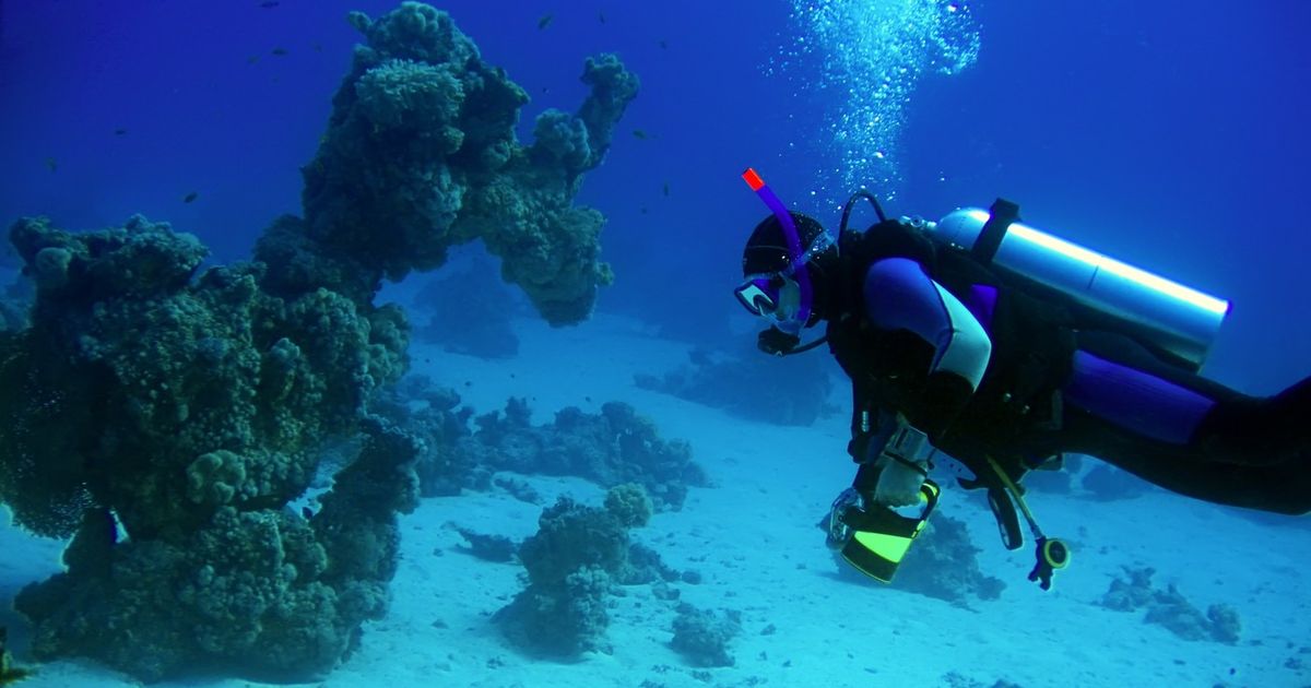 Ronilac pronašao skupoceni Rolex na dnu okeana, pa uradio nešto što je ...