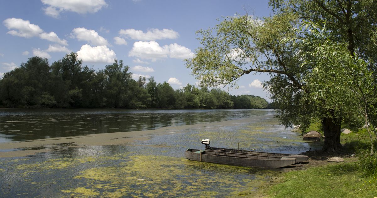 Za novi bunar na izvorištu "Dunav" u Beočinu 20 miliona dinara: Cilj ...