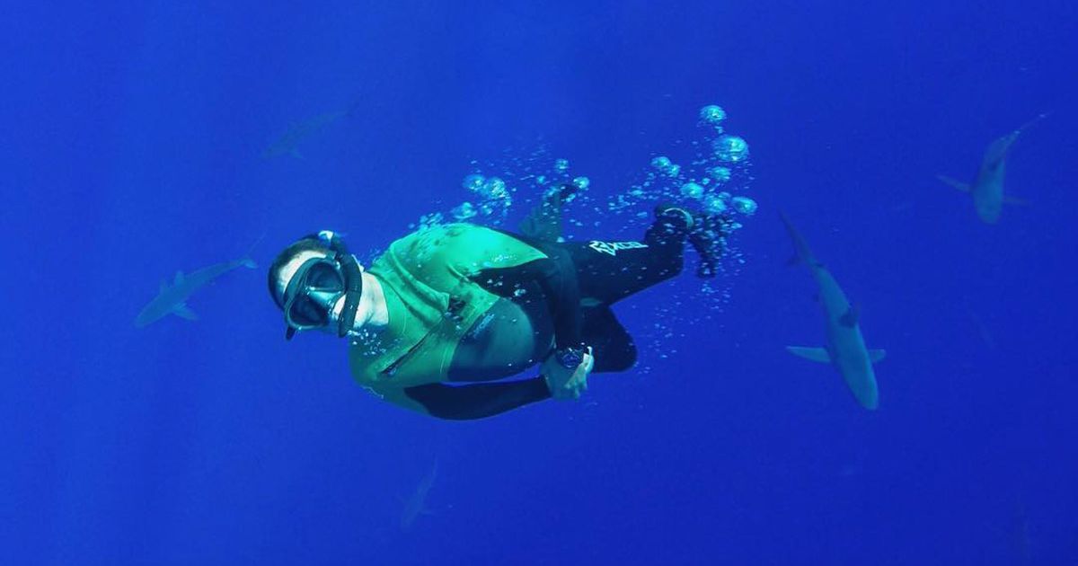 DRAMA U OKEANU Ajkula od 3 metra napala ronioca, ugrizla ga za glavu: "Čulo se krckanje, a onda ...