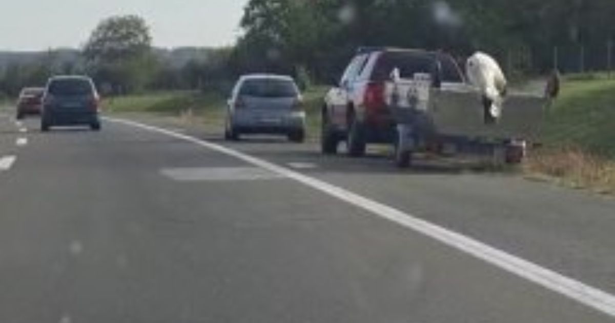 Udes na auto-putu, u smeru ka Nišu! Stvaraju se gužve (SNIMAK) - Vesti ...