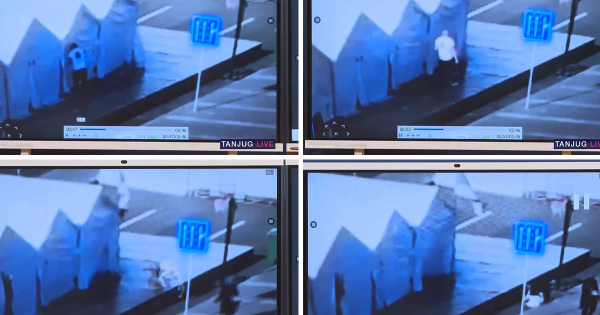 Ovako je Vladan (70) zapalio šator i upucao oca dvoje dece u Pionirskom parku: Kamere sve ...