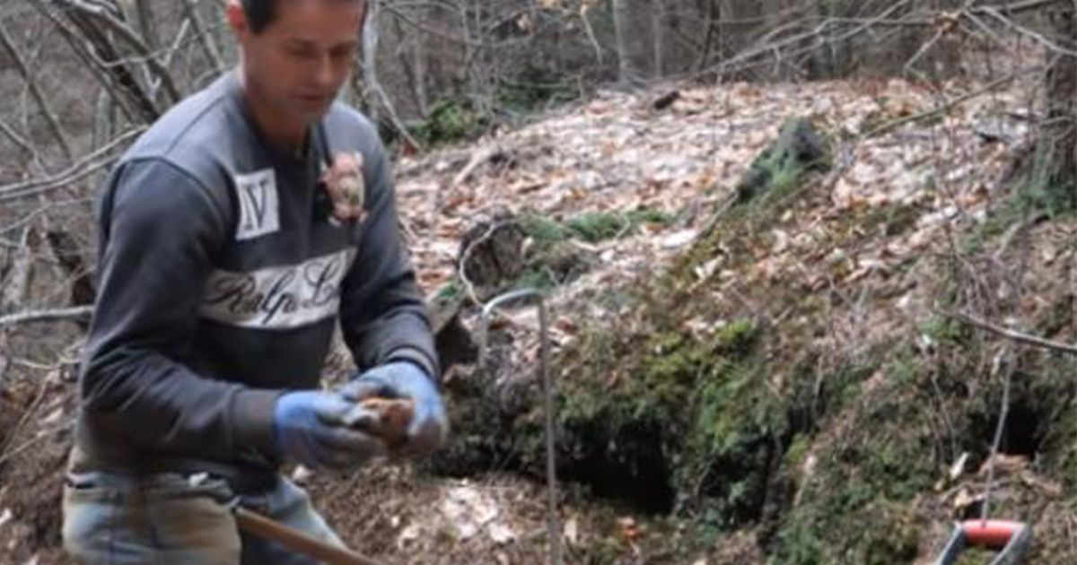 Marko ode u šumu pa dnevno okrene i do 1.025 EVRA: "Zbog toga sam ...