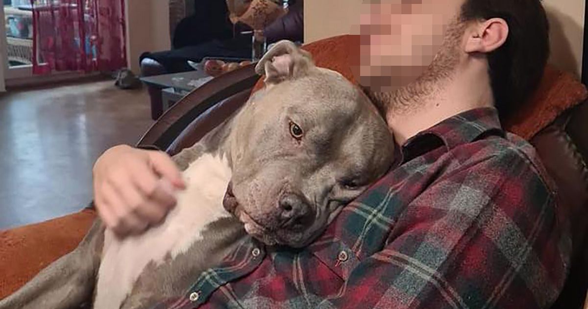 On je Petar M. osumnjičen za ubistvo lepe Stefani: Telo dovezao golfom do Slovenije, ubacio u ...