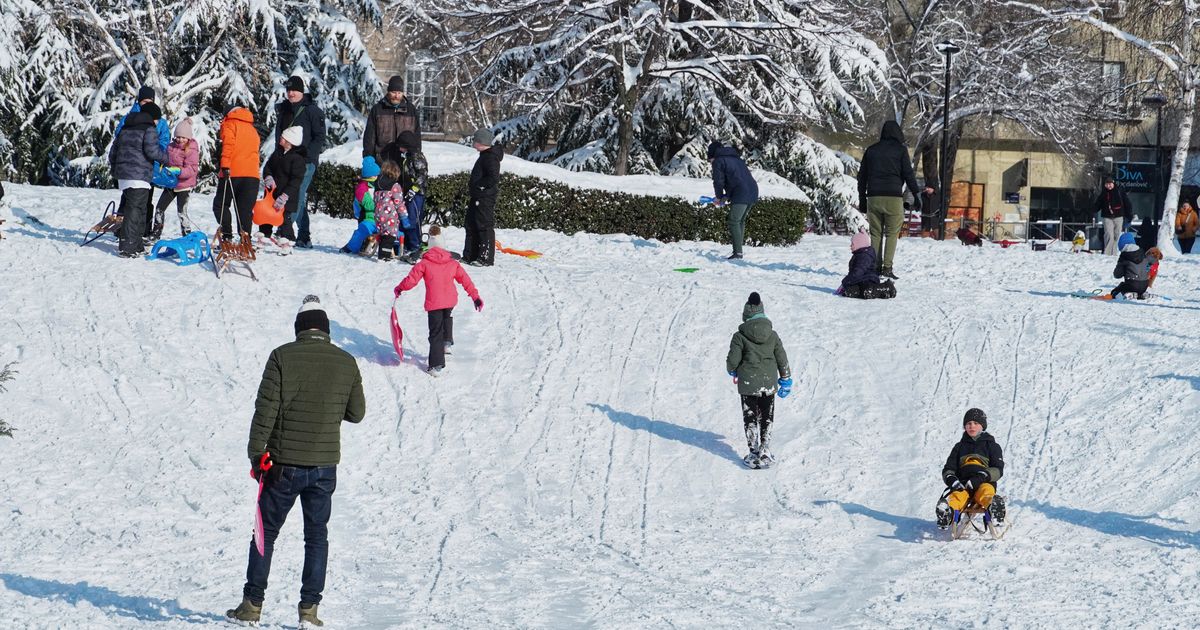 Kakva radost u Skojevskom! Ovo je prizor zbog koga smo čekali zimu - Vesti - Telegraf.rs